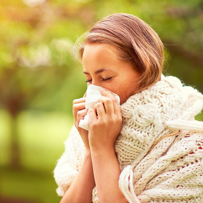 Bynke allergi – Find symptomer, krydsallergi & behandling